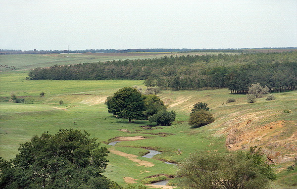 Донецкая возвышенность : фотографії України